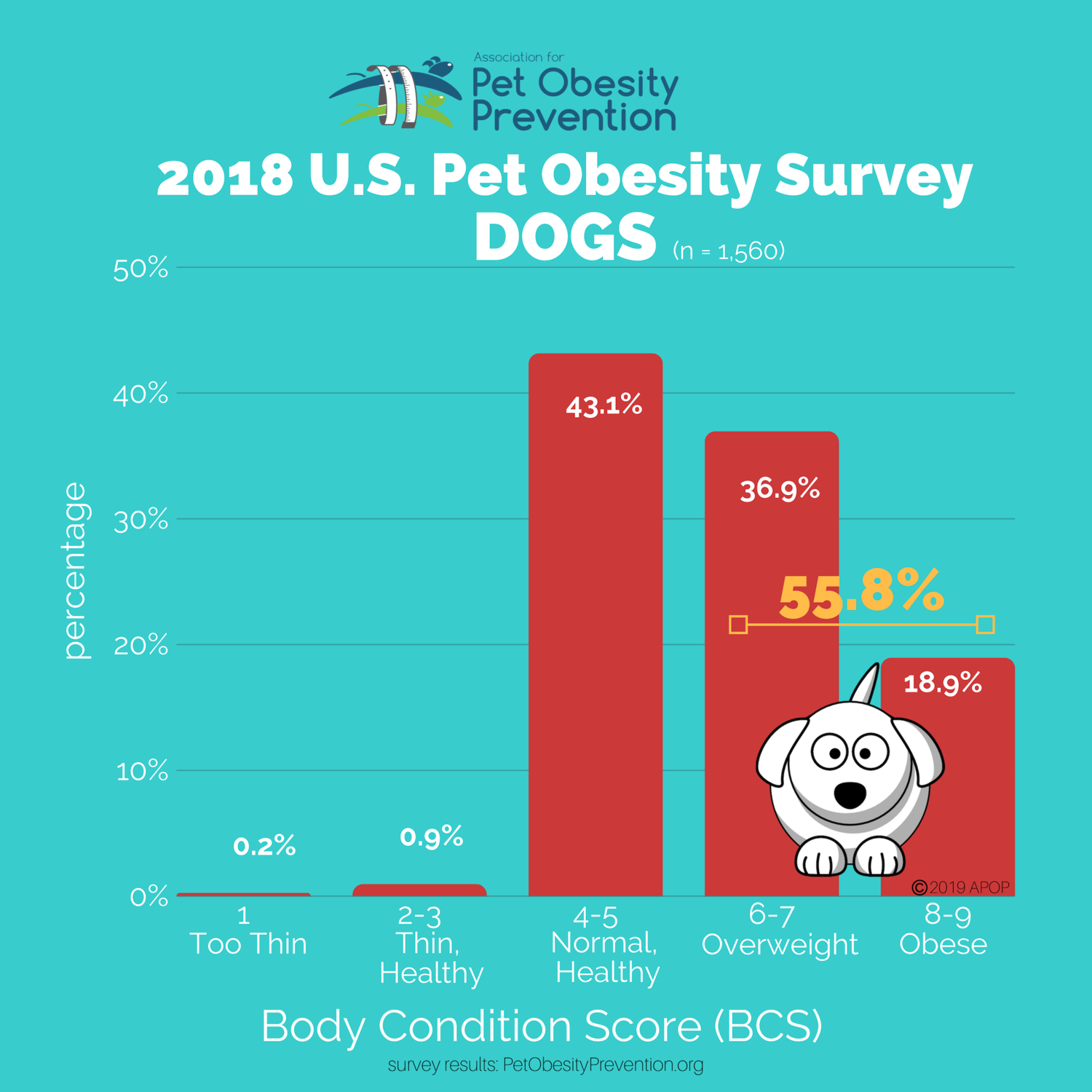 A New Perspective on Canine Obesity - The Canine Chasm